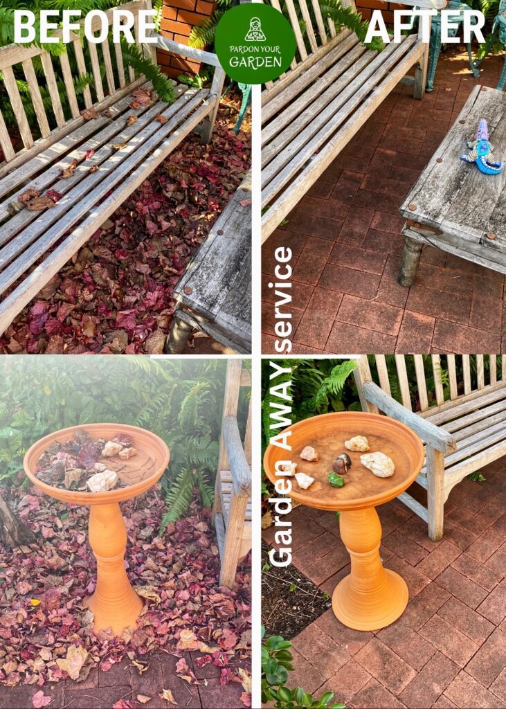 Gardening Service North Beach | Pardon Your Garden