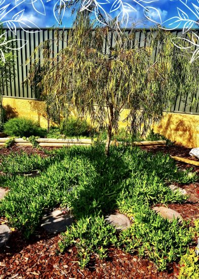 Gardening Service Perth | Pardon Your Garden